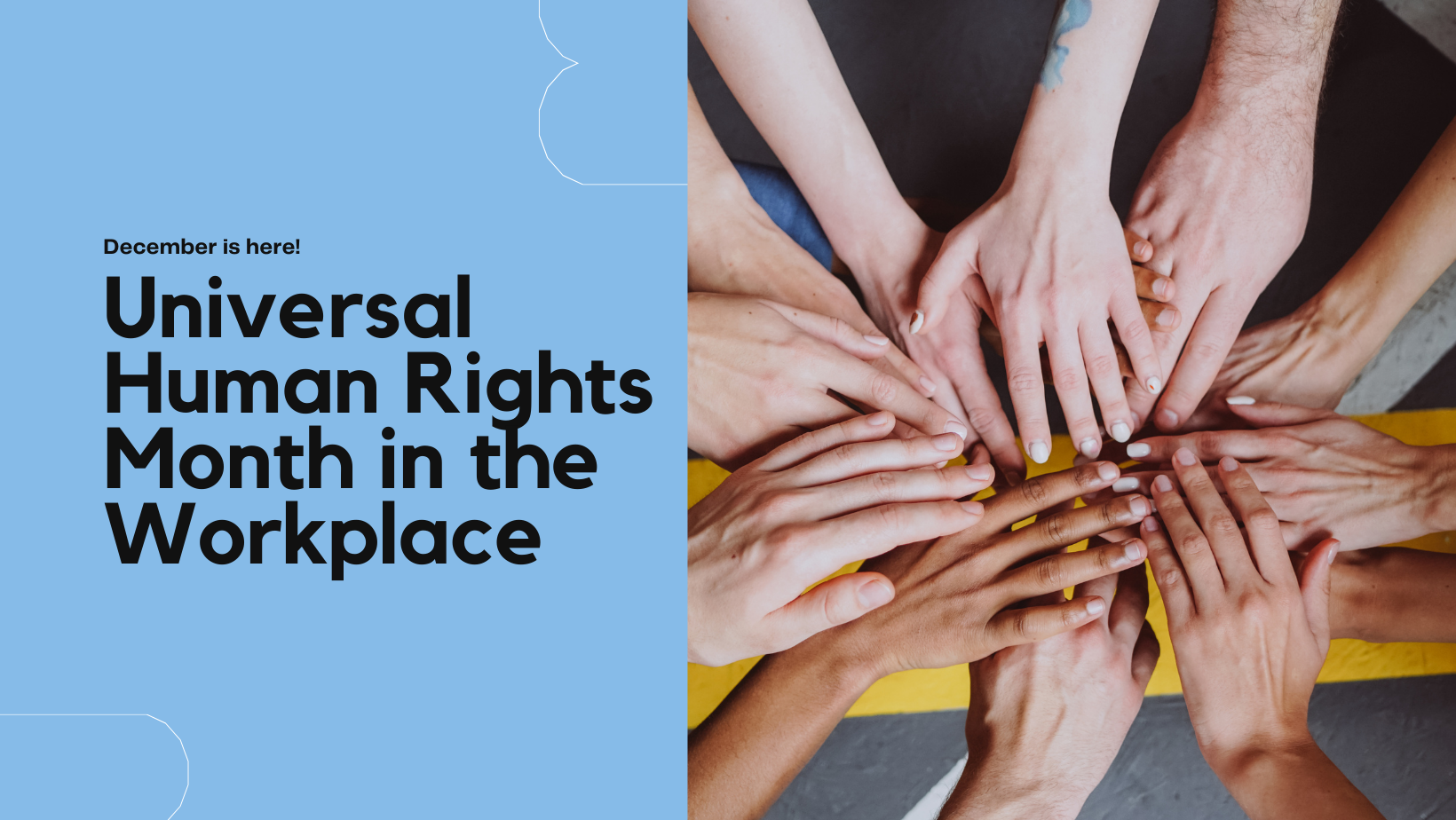Universal Human Rights Month in the Workplace | Shortlister