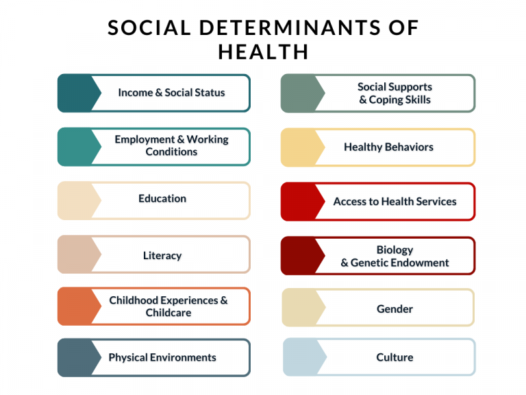 What are the Social Determinants of Health? | Shortlister